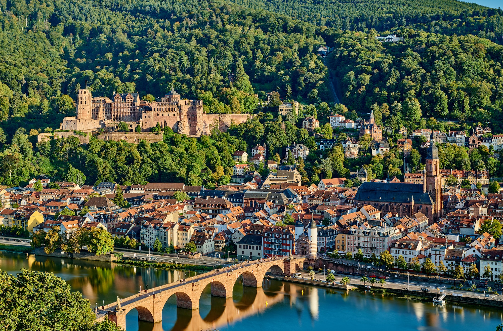 Jurastudium in Heidelberg - Jurastudium Info
